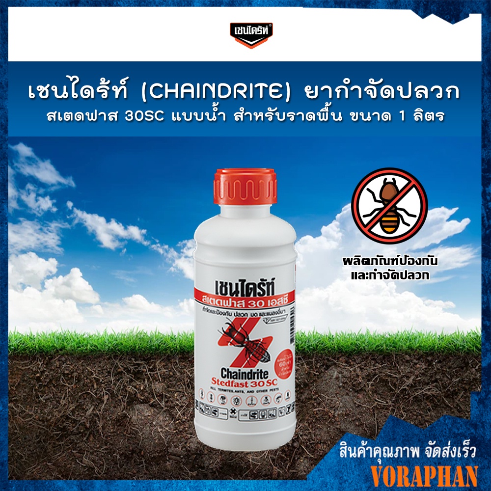 เชนไดร้ท์ (CHAINDRITE) ยากำจัดปลวก สเตดฟาส 30SC แบบน้ำสำหรับราดพื้น ...