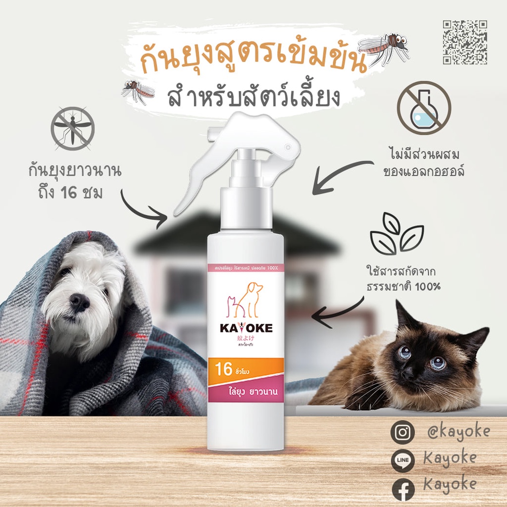 Kayoke (คาโยเกะ) สเปรย์กันยุง บำรุงขน แก้คัน เห็บหมัด สำหรับสัตว์เลี้ยง ...