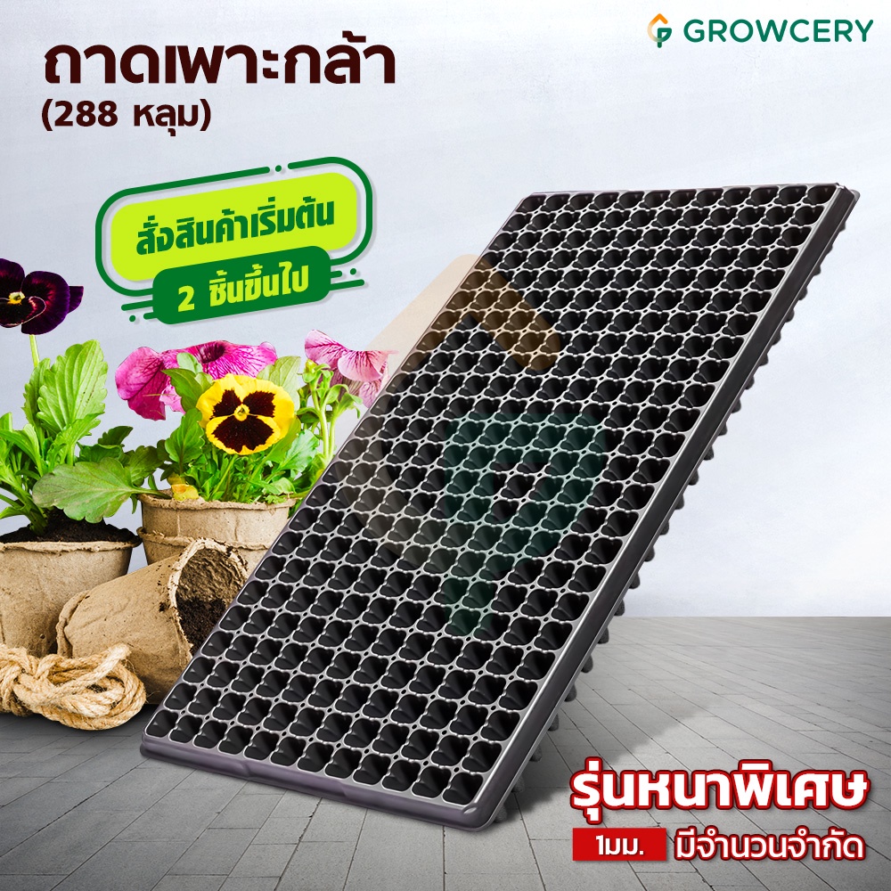[G] ถาดเพาะกล้า ถาดหลุม ถาดเพาะ จำนวน 288 หลุม (หนา 1 มม.)**สั่งขั้นต่ำ 2 ชิ้น** โดย GROWCERY ...