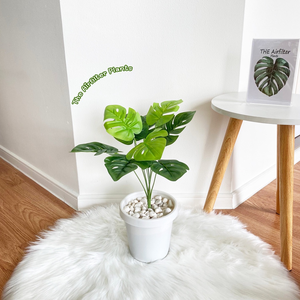 ต้นไม้ปลอม(ฟรี!!หินโรย) ต้นมอนสเตอร่า สูง35-45ซม. ตั้งหน้าทีวี ตั้งโต๊ะ ...