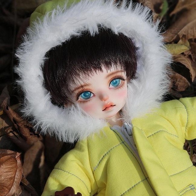 พรีออเดอร์ BJD Bee 1/6 สูง28.5cm | Shopee Thailand