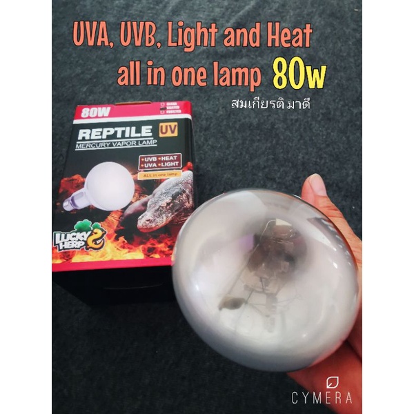 หลอดรวม UVA UVB (80w) | Shopee Thailand