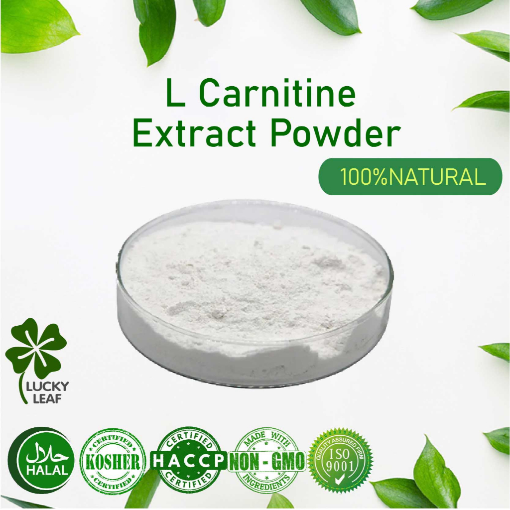 100g-200g 】 99 % L Carnitine Powder/Promotes Lipolysis | Shopee Thailand