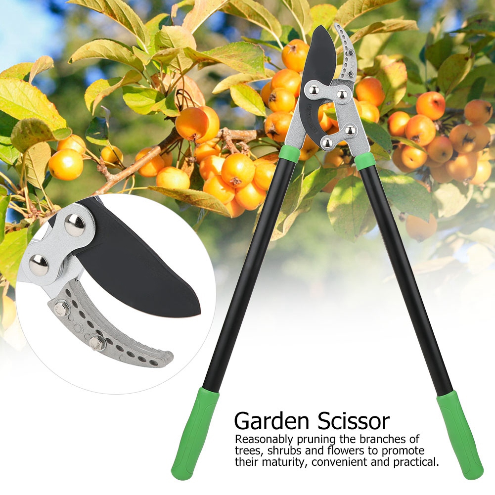 December305 Large Force Garden Scissor Thick Tree Pruning Shears Branch ...