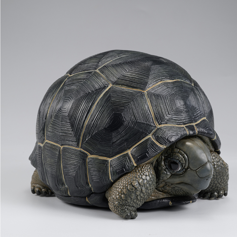 Animal Planet Heart Wide Body Fat Yadabra เต่า Venue Limited Edition ...