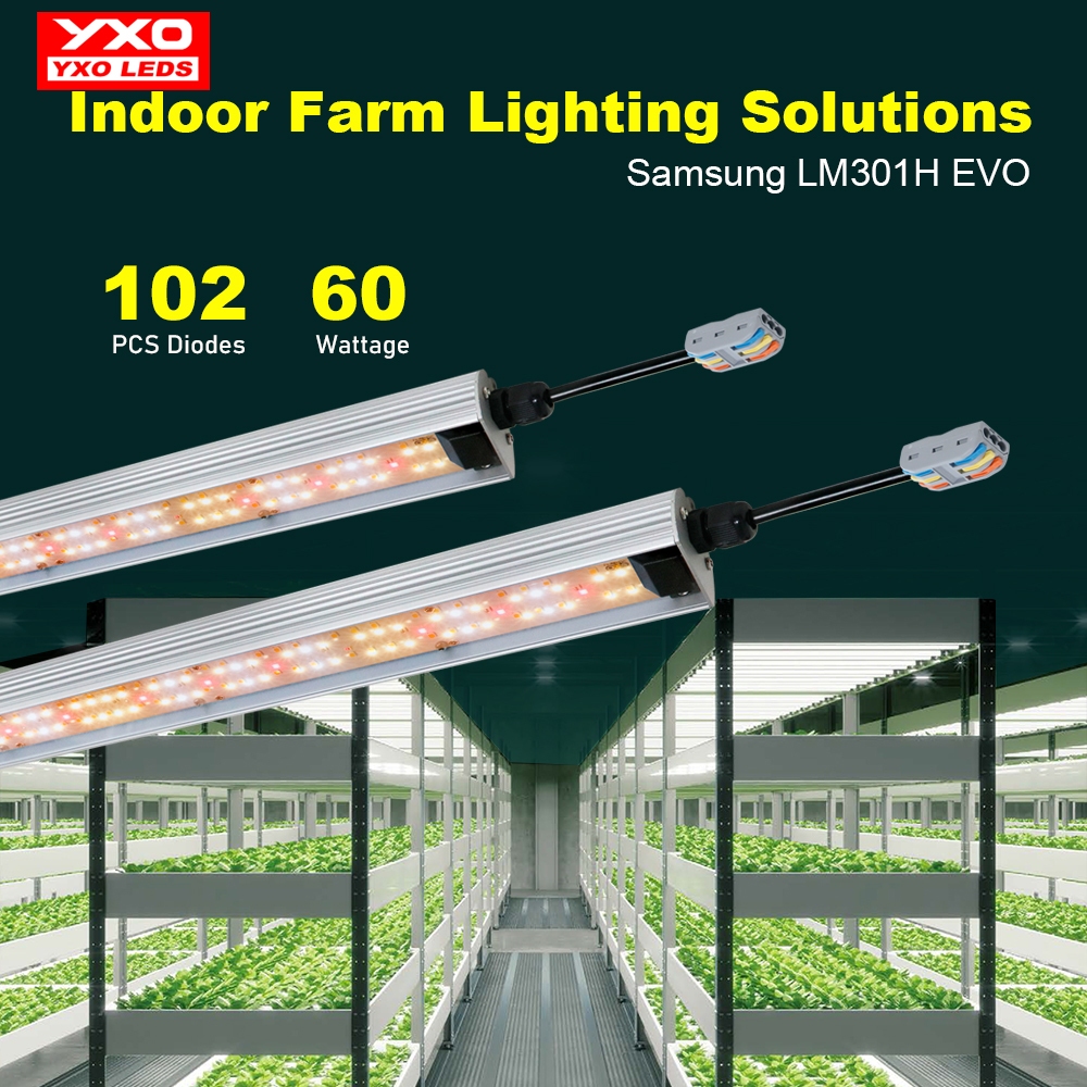 60W Led grow light SamsungLM301H EVO ไฟปลูกผัก waterproof full spectrum ...