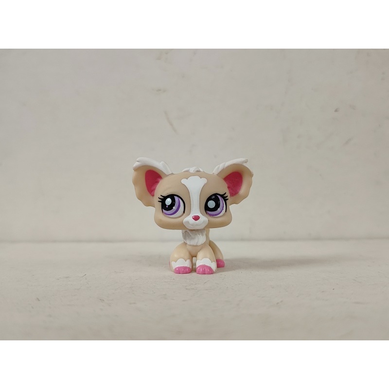 Lps ฟิกเกอร์ รูปสุนัขชิวาวา สีเหลือง #1892 ของเล่นเด็ก | Shopee Thailand