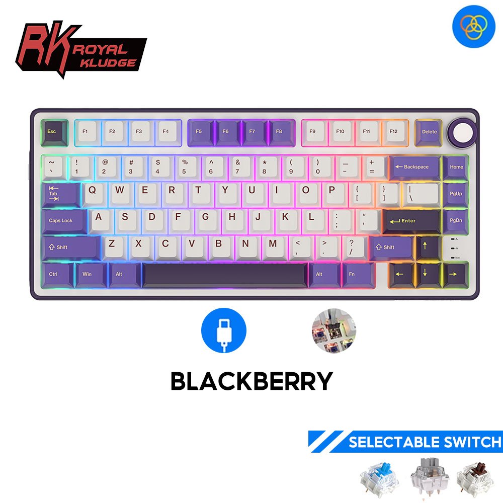 ใหม ่ RK Royal Kludge RKR75 Blackberry ปะเก ็ นคีย ์ บอร ์ ดแบบมีสาย ...