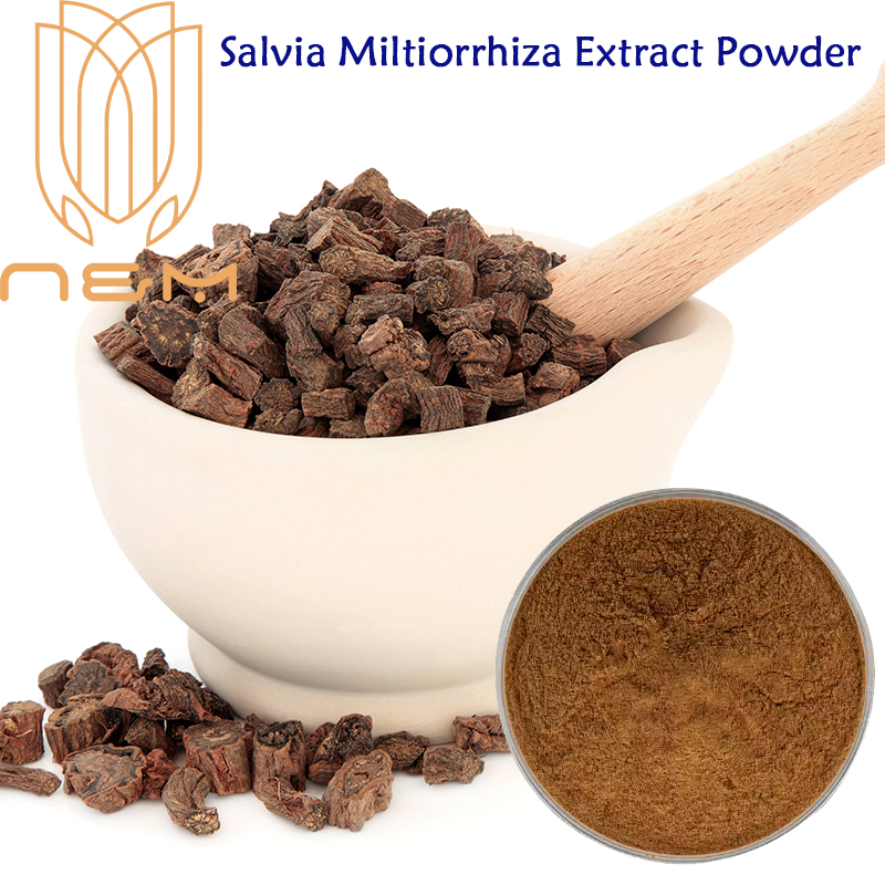 N &M/ Salvia Miltiorrhiza Extract Powder/ Dan Shen/ รองรับหัวใจและหลอด ...