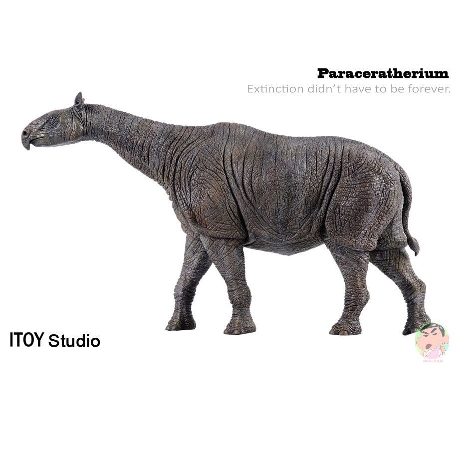 ITOY Studio Elite Paraceratherium Model | Shopee Thailand