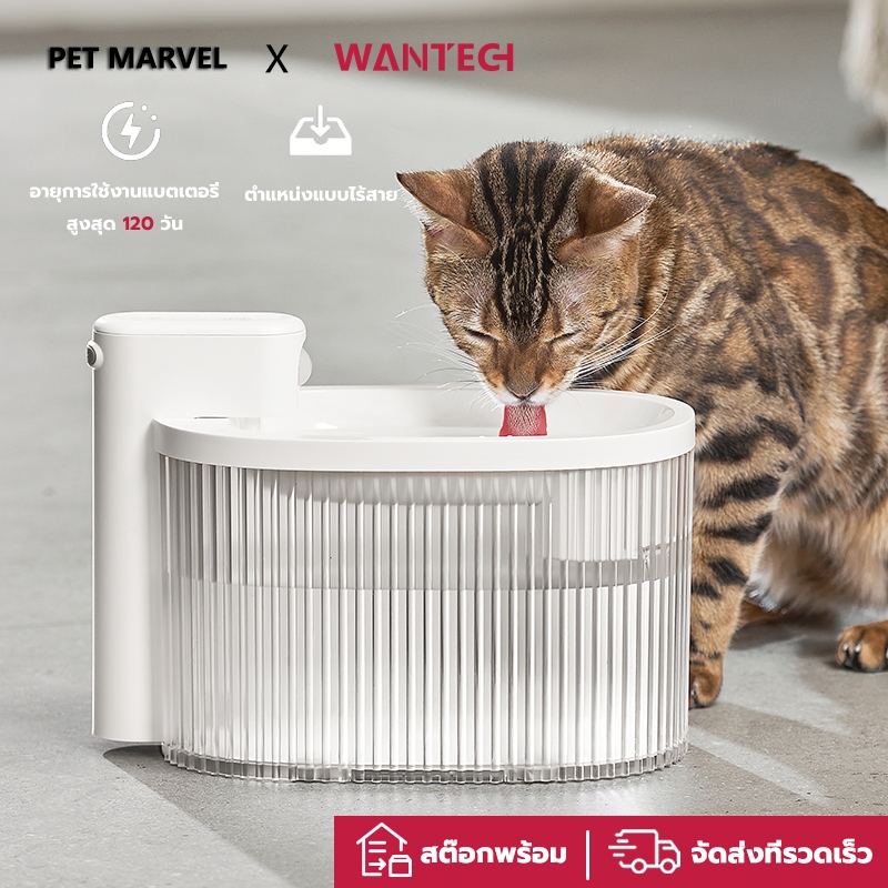 【เตรียมจัดส่ง】Wantech ใหม่ล่าสุด น้ำพุแมว น้ำพุหมา เครื่องกรองน้ำสัตว์ ...