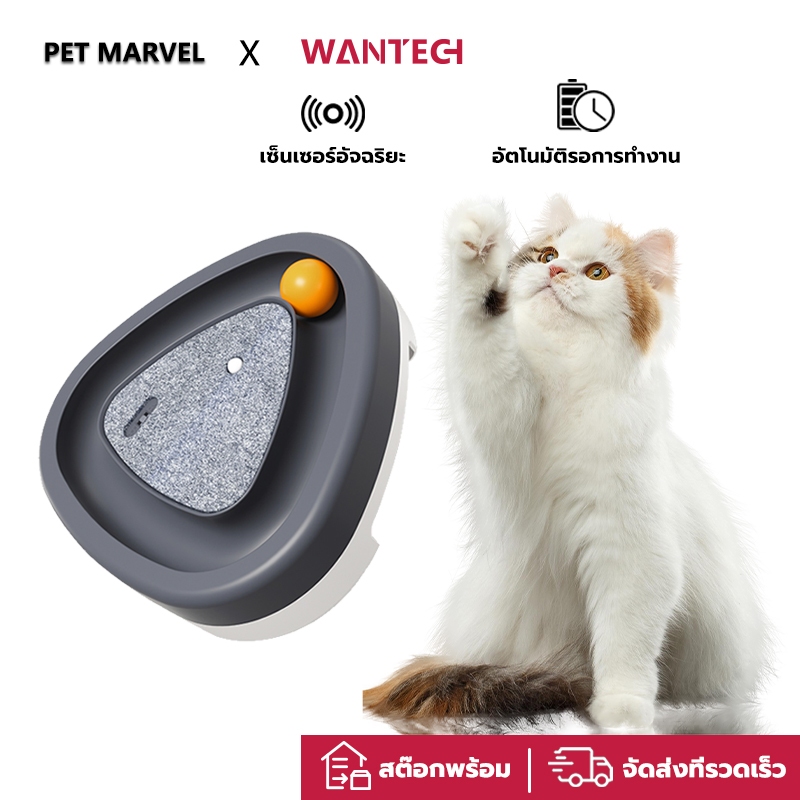 Wantech MagicalTriangle ของเล่นแมวอัตโนมัติ ของเล่นแมวรูปทรงสามเหลี่ยม ...