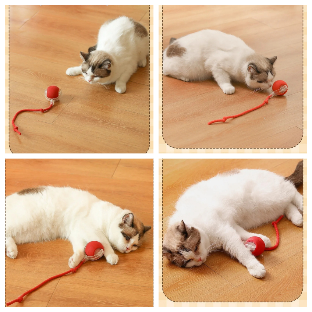 ไฟฟ้า Interactive ของเล่นแมว Ball Super Drive Cat Rolling Balls Motion ...