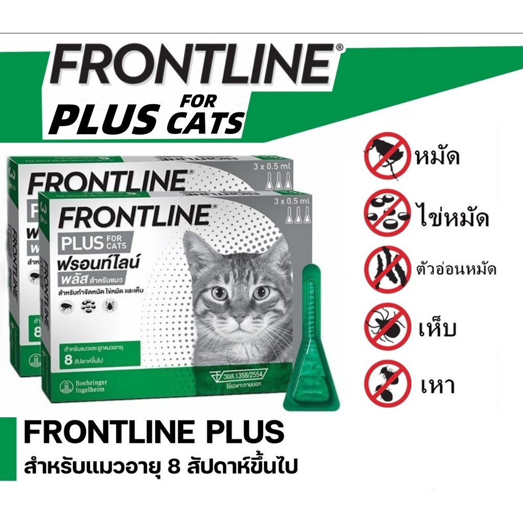 Frontline cat plus แนวหน้า ยาหยอดเห็บหมัดแมวสําหรับแมวป้องกันหมัด เหา ...