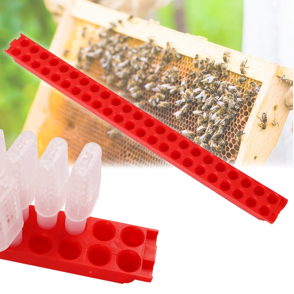 การเลี้ยงผึ้ง Queen Frame Bee Cage กล่องขนส่งค่าเฉลี่ย Isolator Queen ...