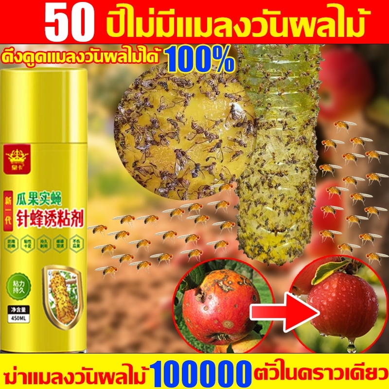 Fruit flies are no longer bugging me. Fly fly insect repellent gold ...