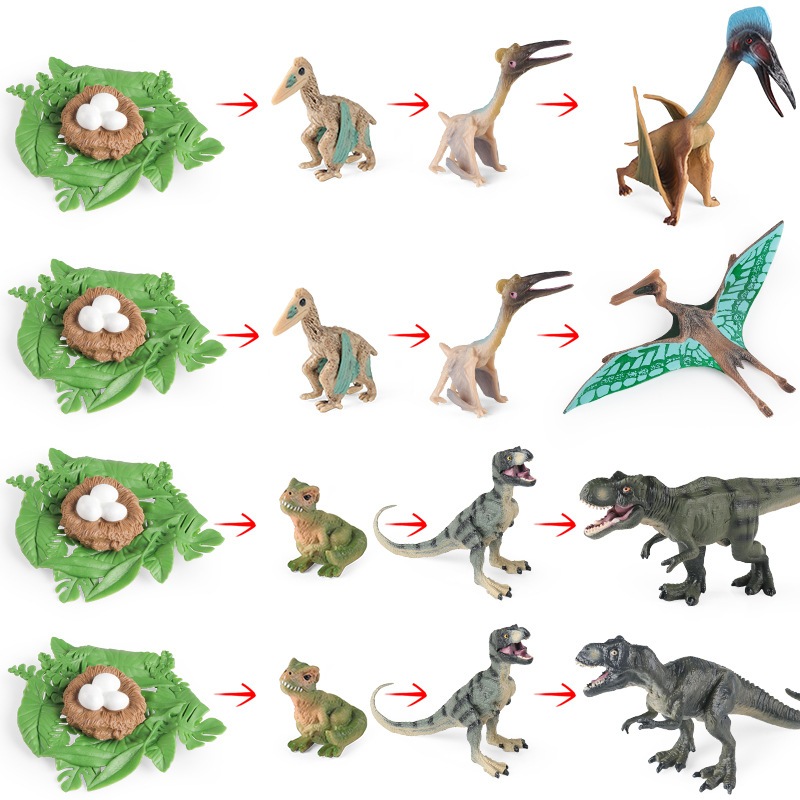 ไดโนเสาร์ Growth Cycle Pterodactyl Pterosaur Tyrannosaurus Rex จําลอง ...