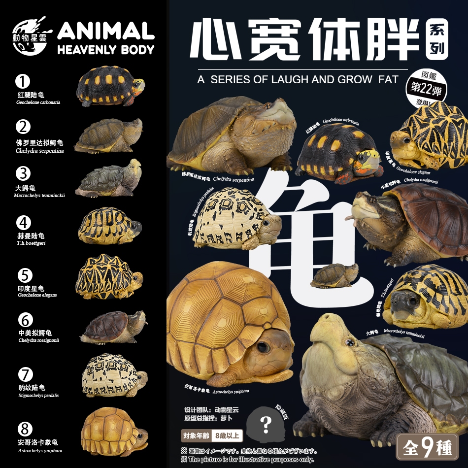 Animal Planet (เนบิวลาสัตว์) Heart Wide Body Fat 22 Bomb Turtle ...