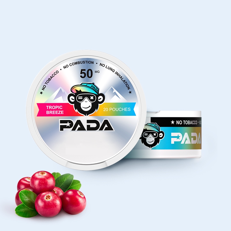 50mg PADA Custom Snus กล่อง DZRT FOX ODENS Snus Jar กระเป๋าคอนเทนเนอร์ ...