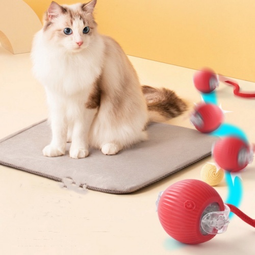 Pet Ball Smart Cat Toys Automatic Rolling Ball, Rolling Ball, Cat Toy ...