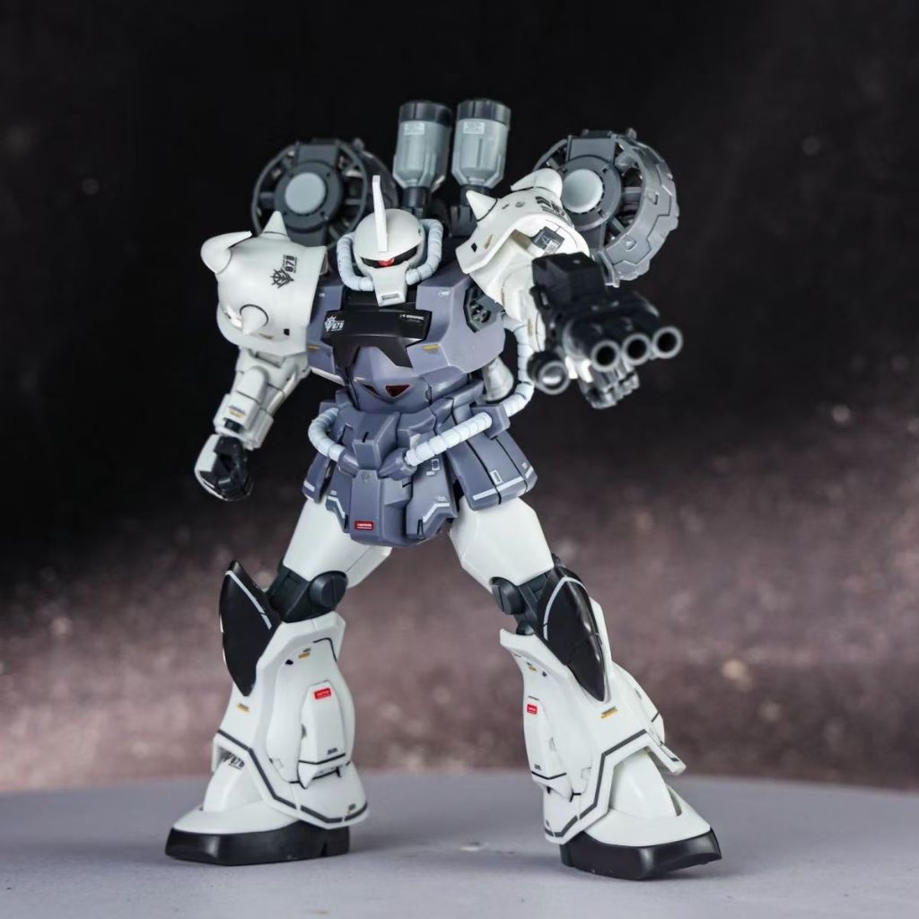 Star-hguc MS-07B-3 Gouf B3 Tiger White Color Matching, Tiger Night ...