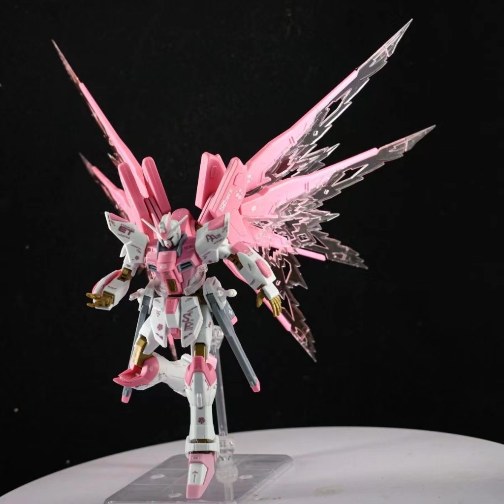 Hg1/144 Strike Free Cherry Blossom Pink Matching Gundam Assembly Model ...