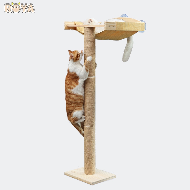 ROYA Cat Window Perch พร้อมโพสต์ลับเล็บสูง Cat Climbing Tree Hammmock ...
