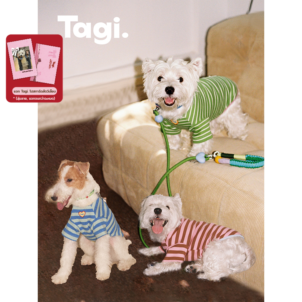 Tagi. Haha Pet Stripe Cotton Short Sleeve | Shopee Thailand