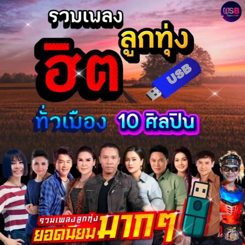 Usb แฟลชไดร ฟ Mp3 รวมเพลงล กท งฮ ต 10 ศ ลป นด ง รวม 443 เพลง Shopee