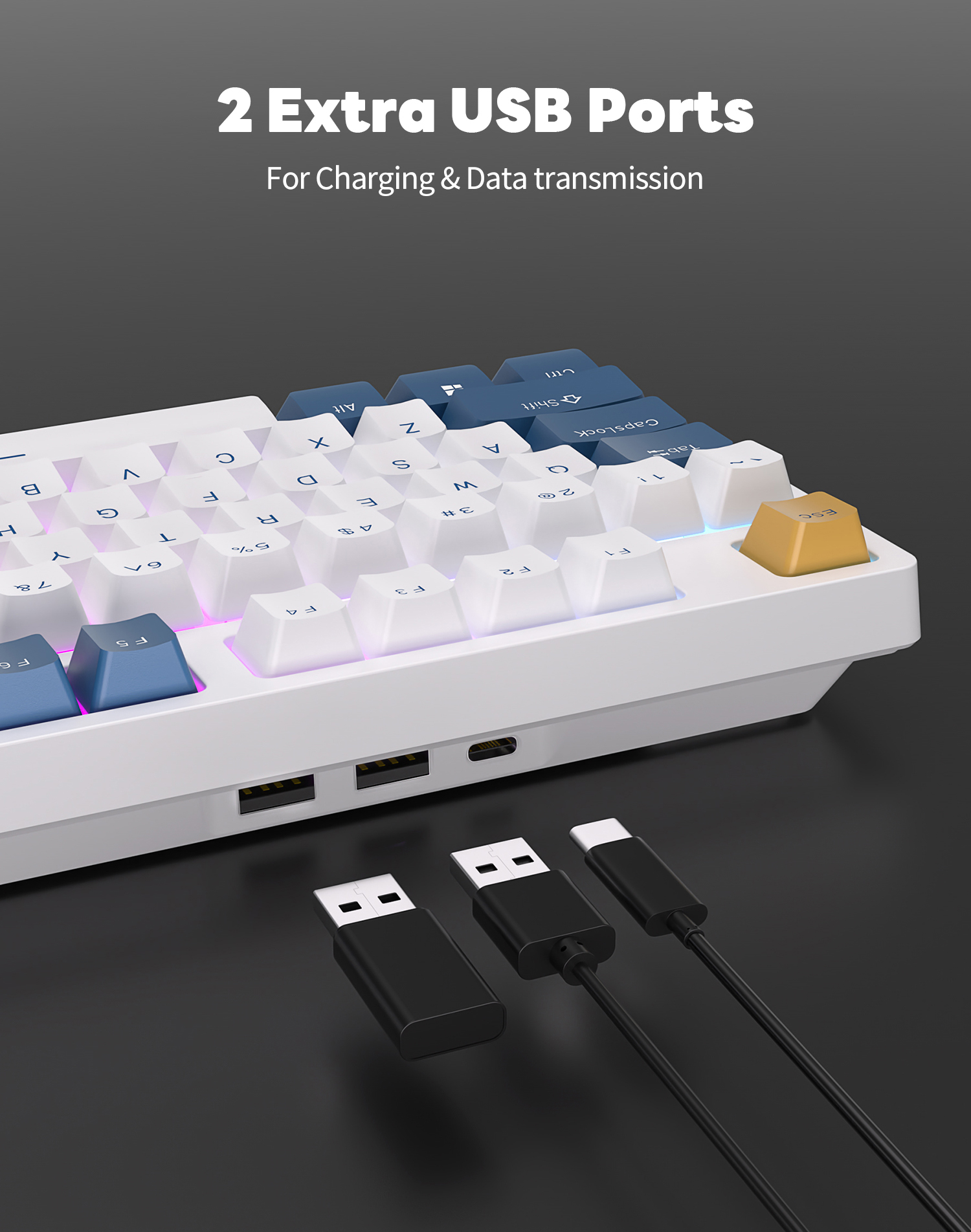 Royal Kludge RK89 Triple Mode BT5.0/2.4G/USB-C คีย์บอร์ดเกมมิ่ง ไร้สาย ...