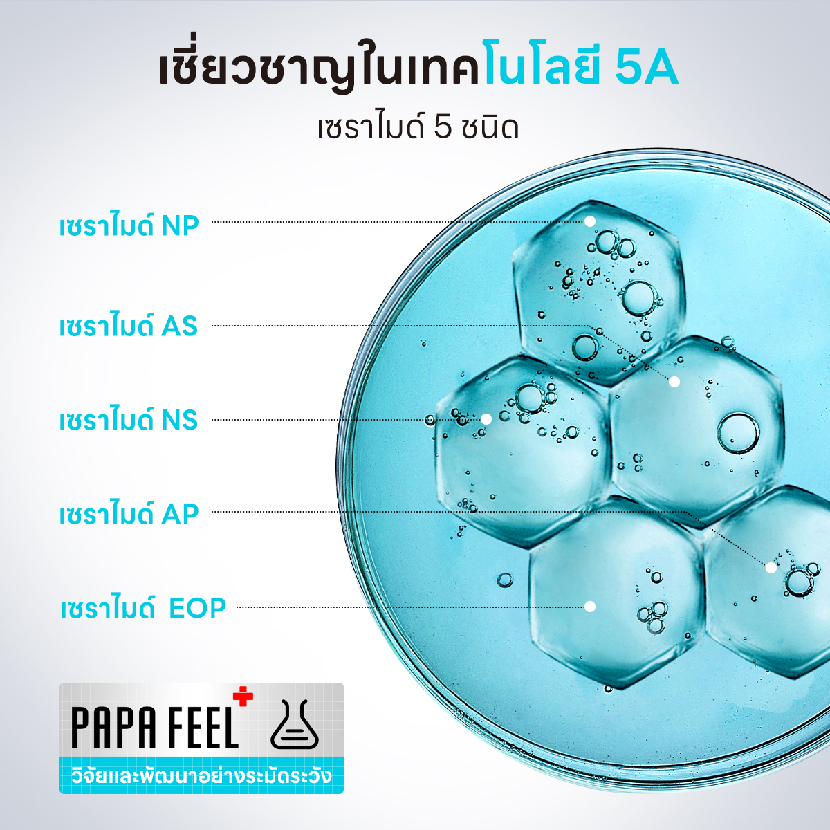 PAPA FEEL เรตินอล Moisturizer AntiAging เซรั่ม ครีมทาหน้า ไวท์เทนนิ่ง ...