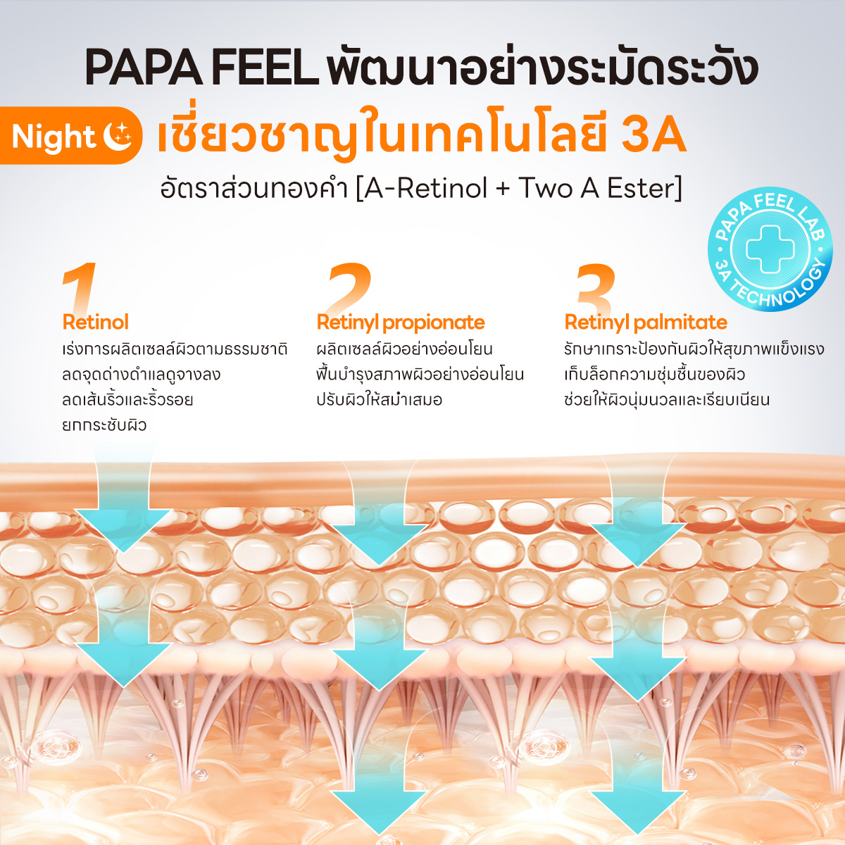 PAPA FEEL เซรั่ม ครีมทาหน้า AntiAging ฝ้า กระ ไวท์เทนนิ่ง 2Pcs | เรตินอ ...