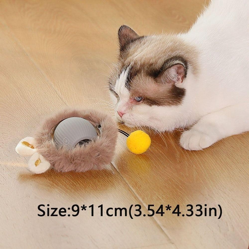 Pet Ball Smart Cat Toys Automatic Rolling Ball, Rolling Ball, Cat Toy ...