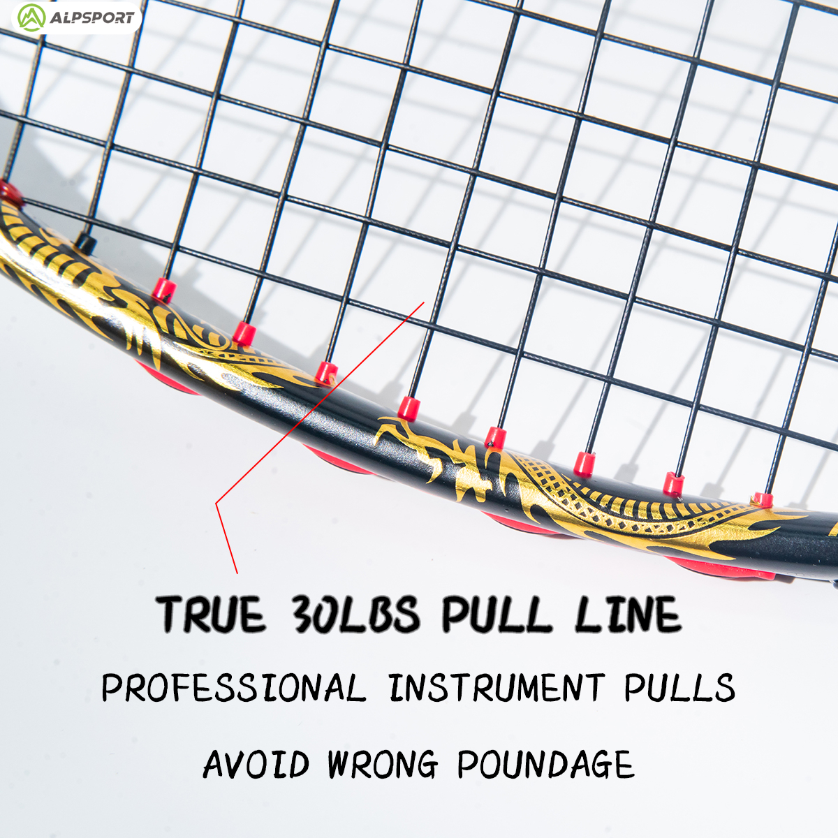 Alp DIY Pounds Customised อาชีพ Strung True 30Lbs ไม้แบดมินตัน 100% ...