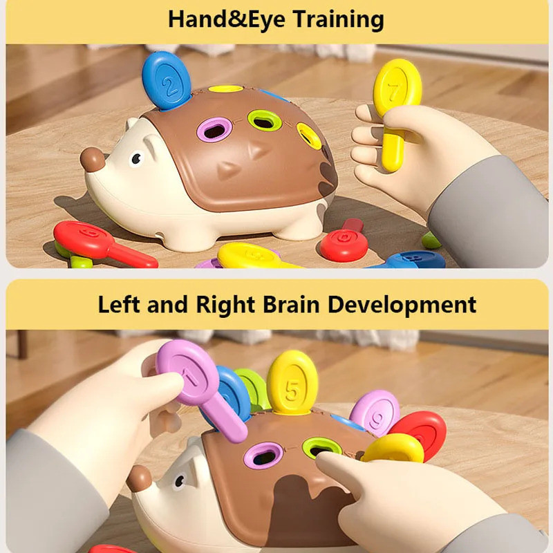 Baby Montessori Fine Motor Toys Hedgehog Baby Early Educational Motor ...
