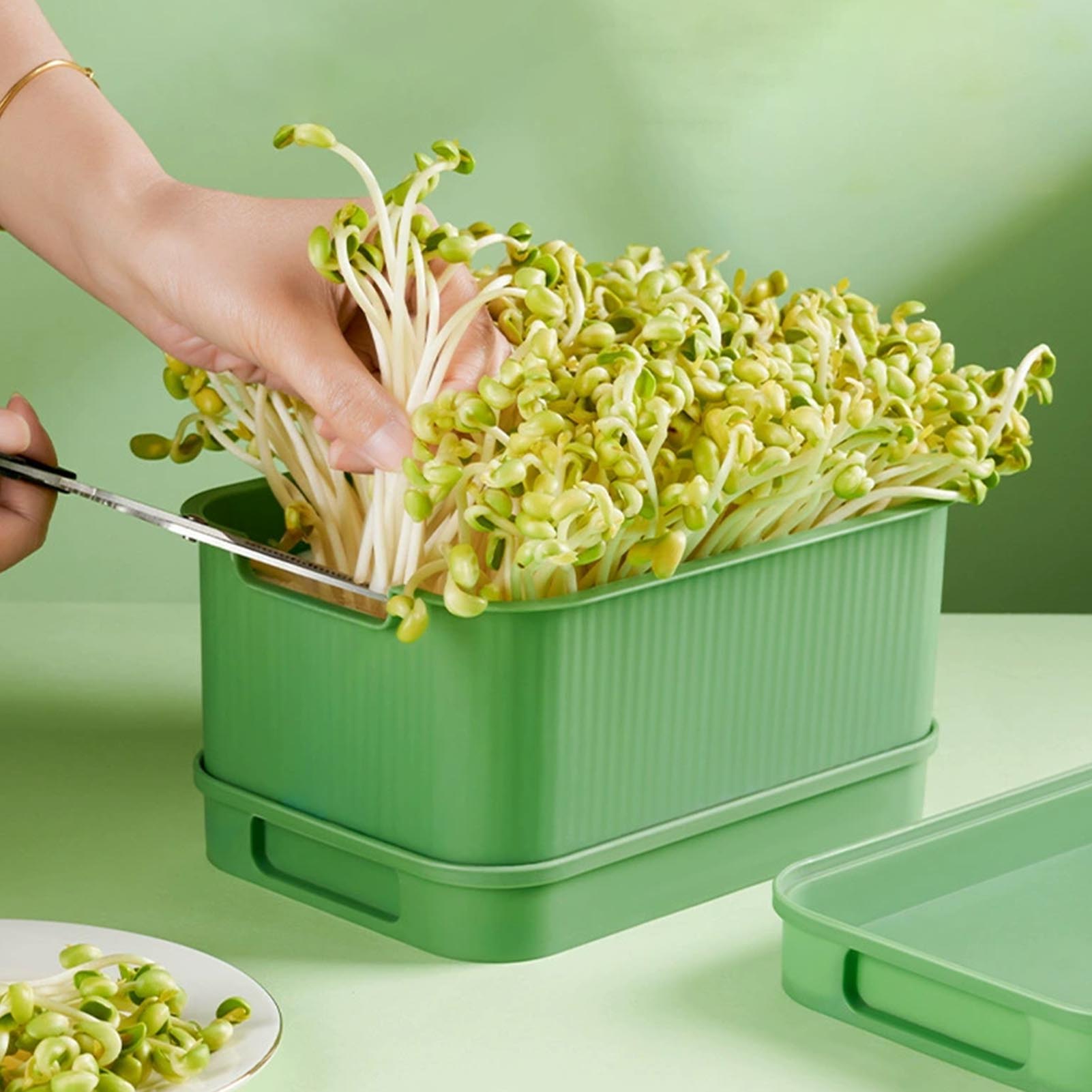 Bean Sprout Pot ครัวเรือน Bean Sprouts จานน้ําการเพาะปลูกต้นกล้าหม้อ ...