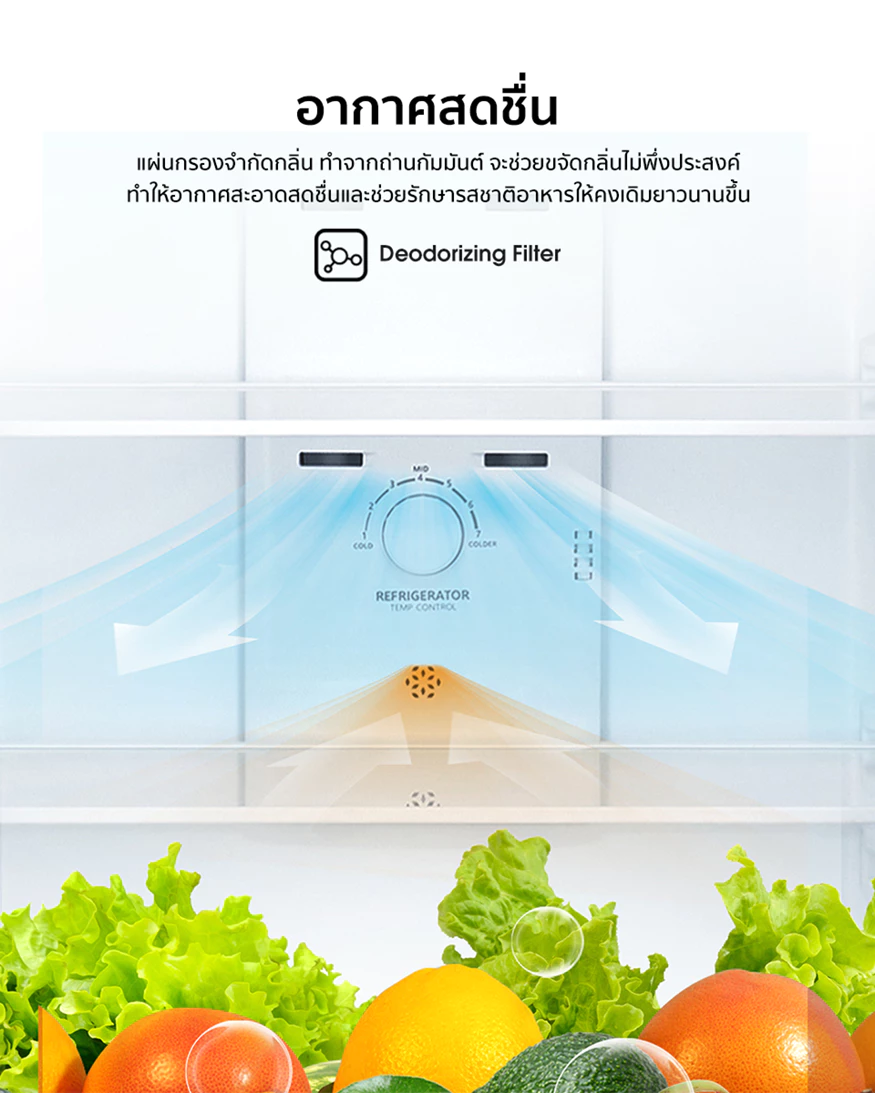 Hisense รุ่น ERT320S ตู้เย็น 2 ประตู :11.5Q/326 ลิตร | Shopee Thailand