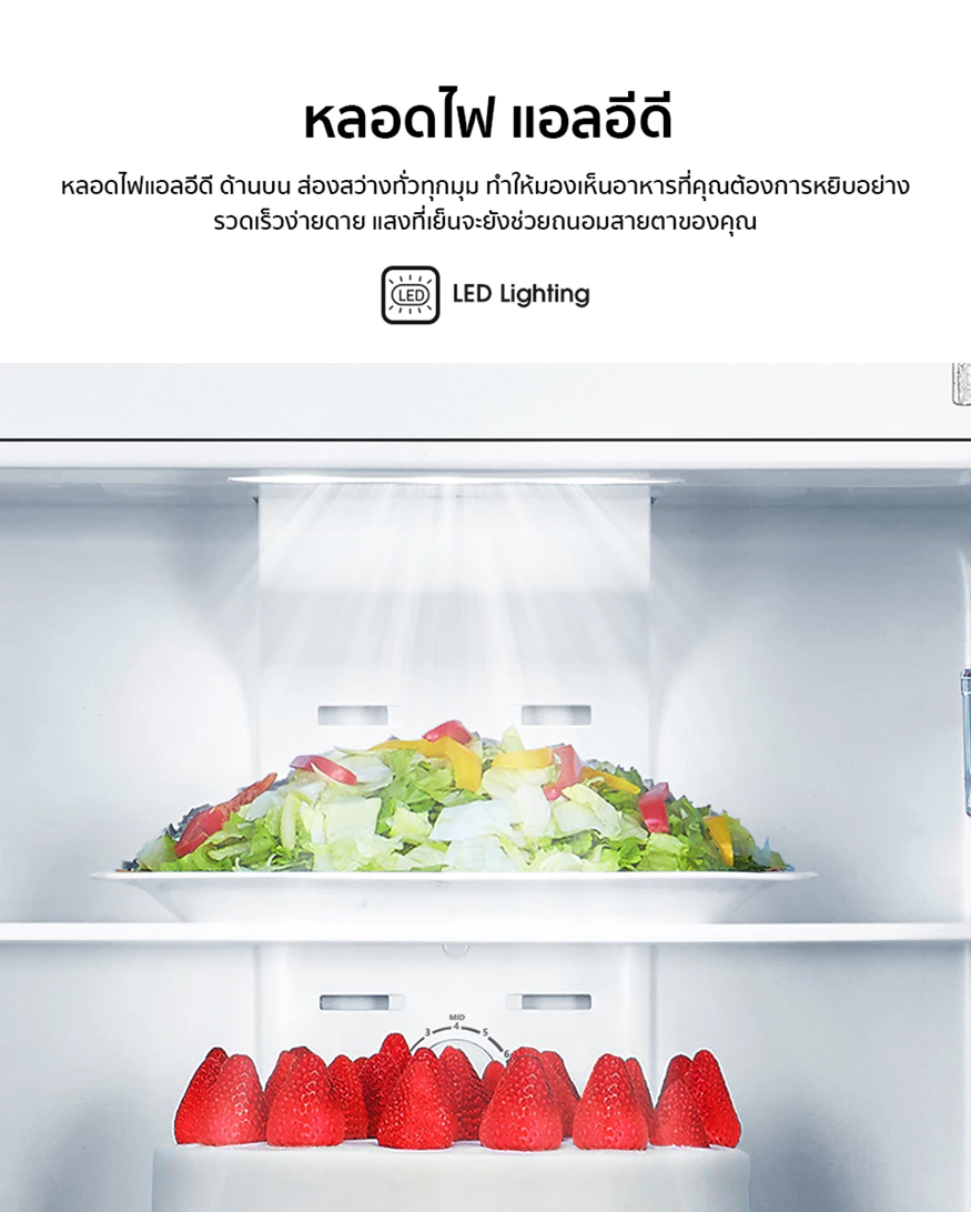Hisense รุ่น ERT320S ตู้เย็น 2 ประตู :11.5Q/326 ลิตร | Shopee Thailand