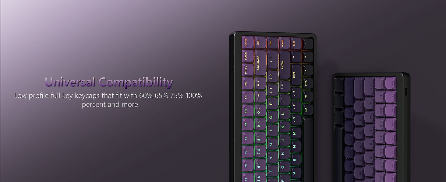 132 คีย์ Skyline R2 Low Profile PBT Double-Shot Keycaps, Gradient Purple Shine Through Key Caps ...