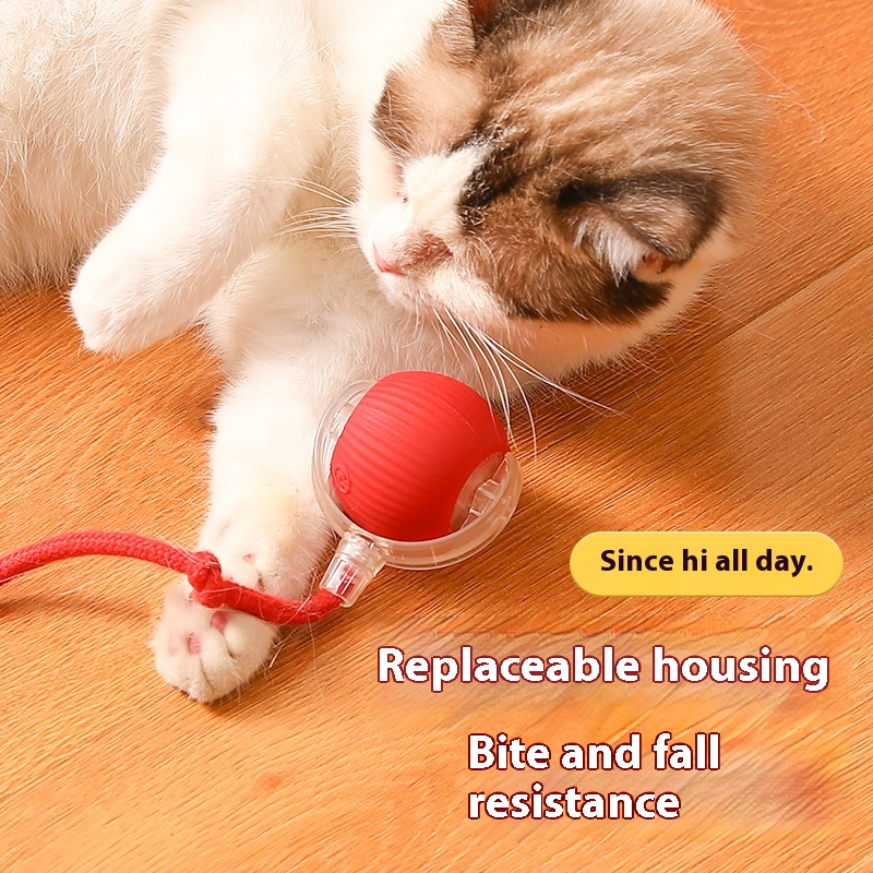 KittyFrolic Automatic Self-Moving Cat Interactive Ball,ไฟฟ้าการฝึกอบรม ...