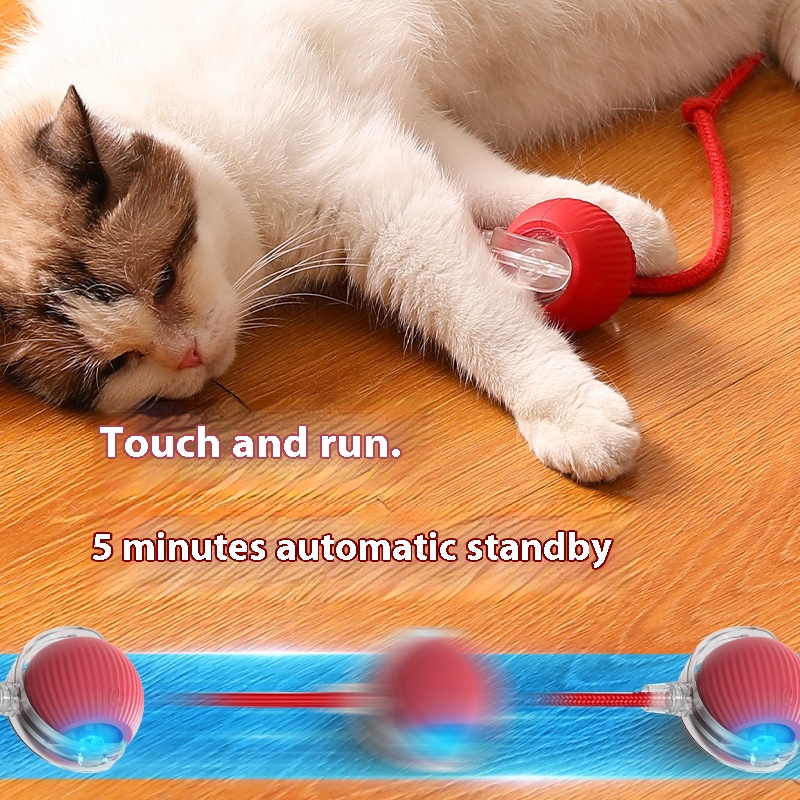 KittyFrolic Automatic Self-Moving Cat Interactive Ball,ไฟฟ้าการฝึกอบรม ...