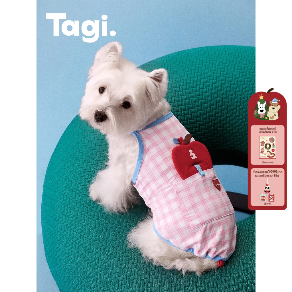 Tagi. Imagine Apple Pet Cooling Clothes เสื้อผ้าป้องกันแสงแดดสำหรับ ...