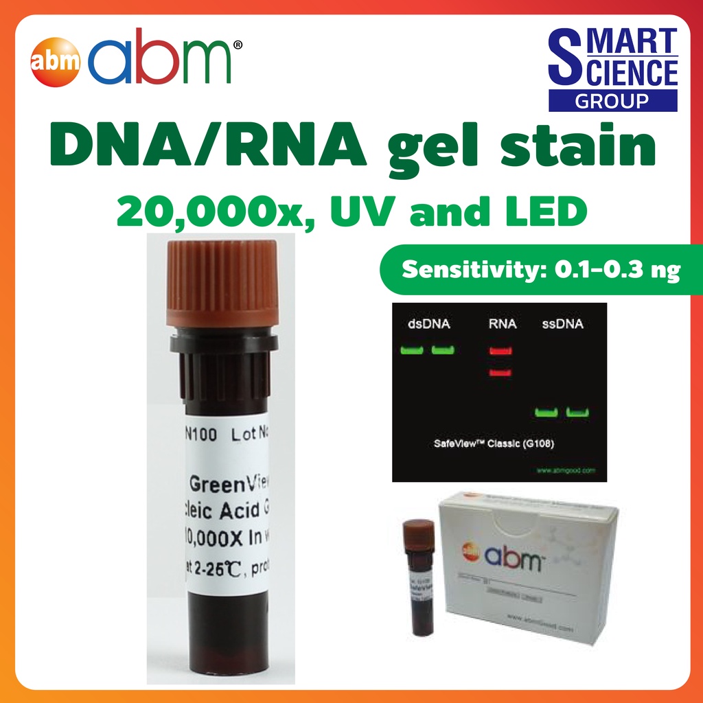 SafeView Classic DNA RNA gel stain nucleic acid agarose polyacrylamide ...
