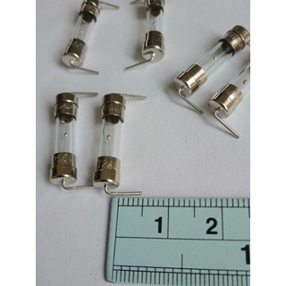 FUSE T2AL 250V ฟิวส์หลอดแก้ว(แพ็ค10ตัว)ขนาด20มิล Slow blow Fuse T2A ...