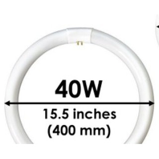 T9 หลอดไฟวงกลม หลอดฟลูออเรสเซนต์ 40w 32w 22w ไฟเพดาน ทรงกลม สีขาวอบอุ่น | Shopee Thailand