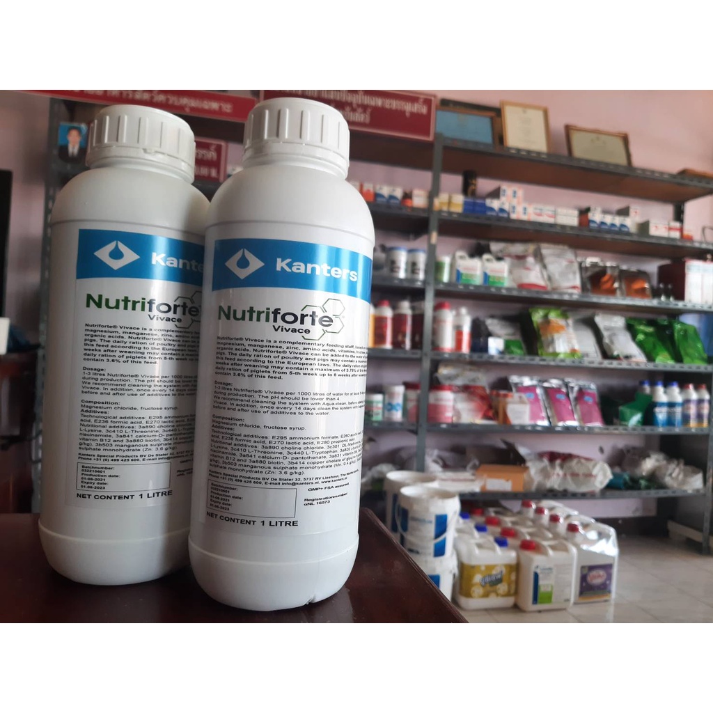 Nutriforte Vivace นิวทริฟอร์ต วิวาเช่ สารเสริมโภชนที่จำเป็นสำหรับสัตว์ ...