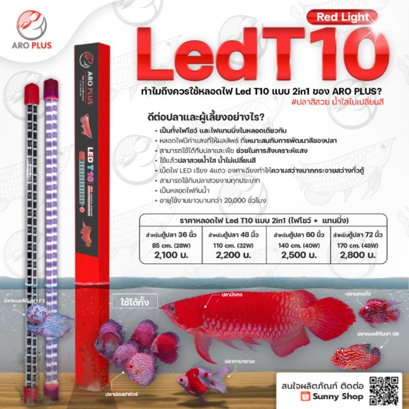 (ARO PLUS) หลอดไฟ LED สีแดง ไฟโชว์+แทนนิ่ง T10 Red Light | Shopee Thailand