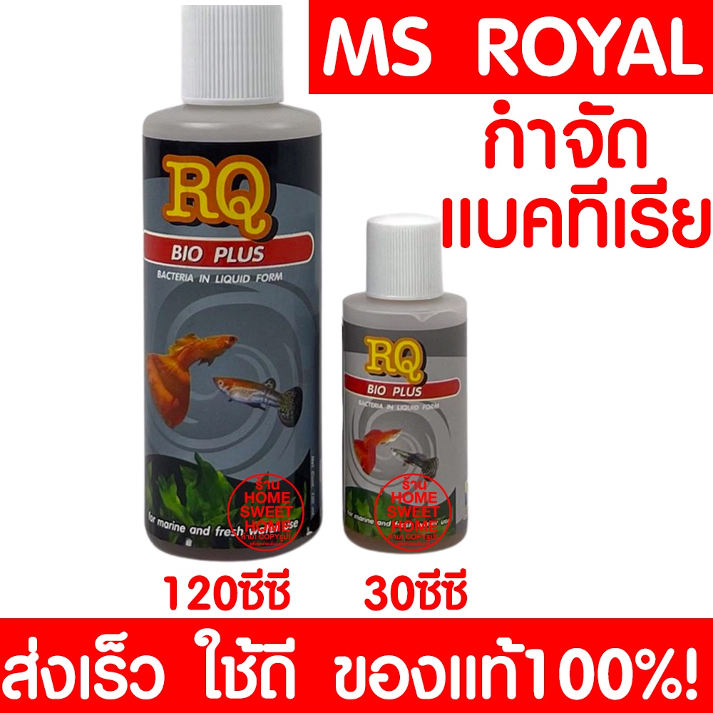 *ค่าส่งถูก* RQ BIO PLUS 120 ml.(แบคทีเรียย่อยสลายของเสีย เศษอาหารตกค้าง ...