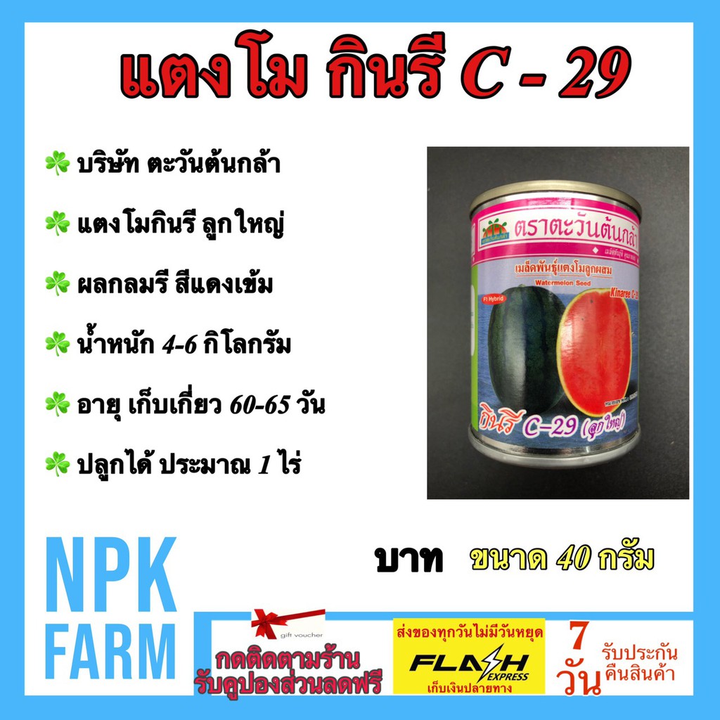 แตงโม กินรี C29 40 กรัม เมล็ดพันธุ์ ตะวันต้นกล้า ล๊อตใหม่ ล่าสุด ลูก ...