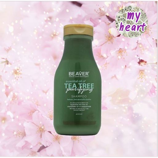 Beaver Tea Tree Purifying Shampoo 60 ml แชมพู ขจัดรังแค ความมันบนหนังศีรษะ และกลิ่นอับ | Shopee ...